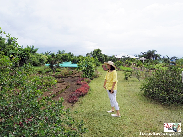 Woman In Digital: My Trip to Sonrisa Organic Farm in Camarines Sur
