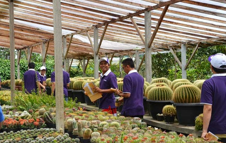 Wisata di Lembang : Rumah Bunga Rizal - Website Wisata kota Lembang