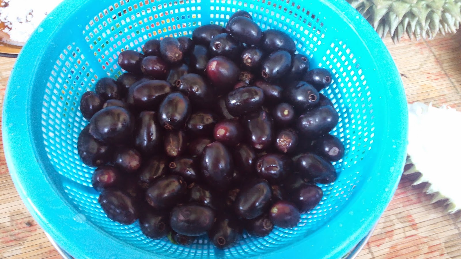 AkU GuRu BaHaSa MeLaYu: Musim Buah-Buahan Di Rumah Cikgunie