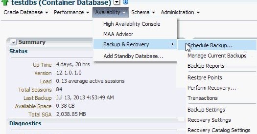 Cloud Control 12c Use Enterprise Manager 12c To Take Rman
