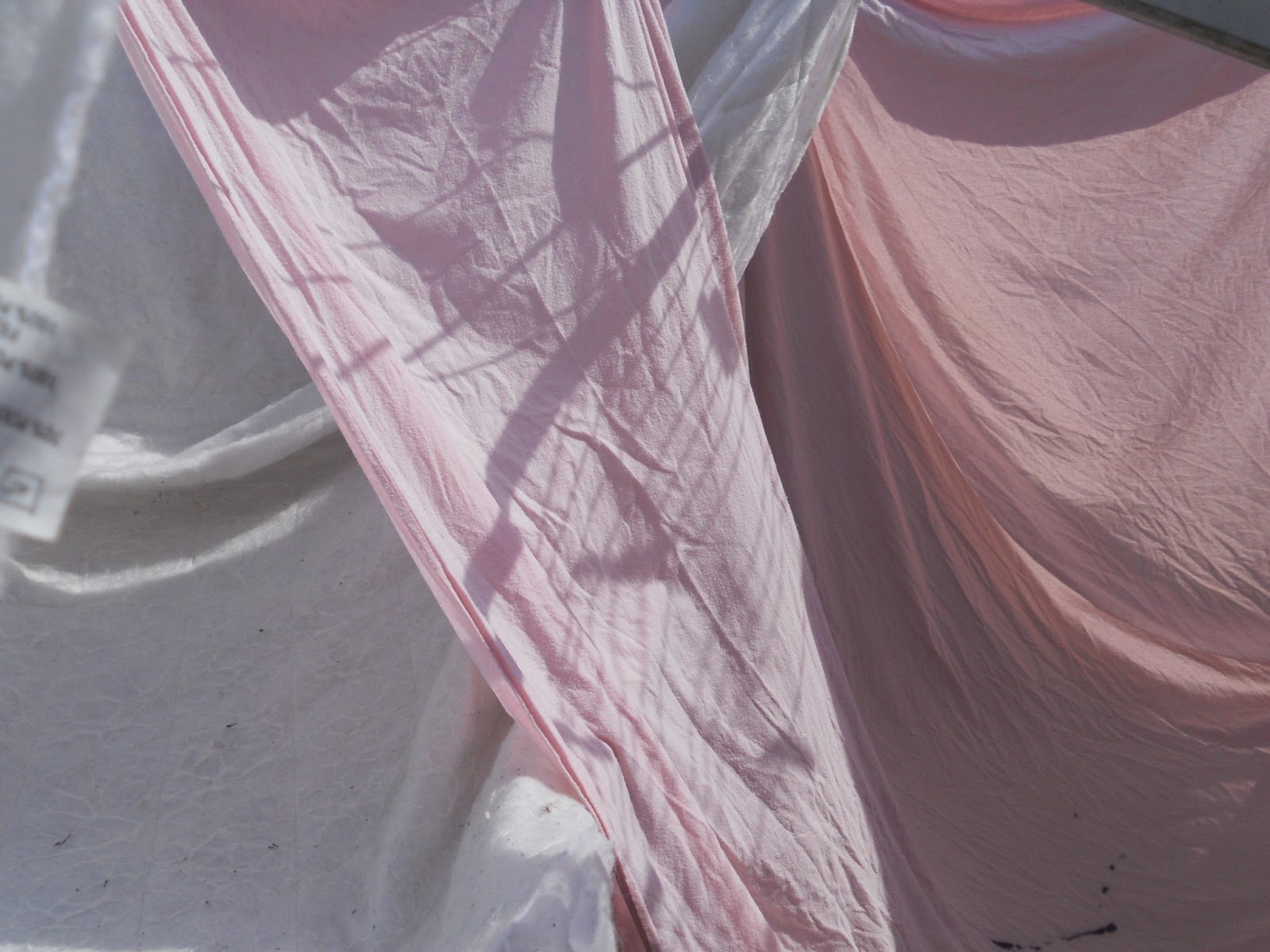 Motley Monroe's Crystal Maze