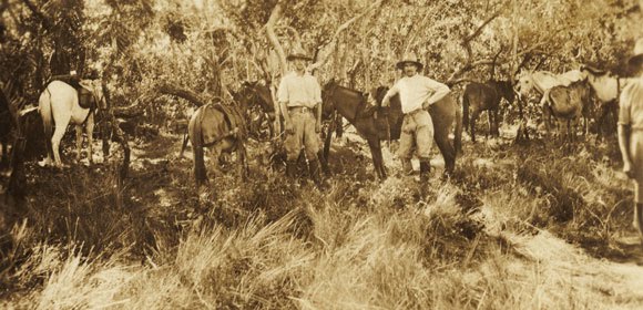 ~ W a y m a r k s ~: Missing Man - Colonel P.H. Fawcett