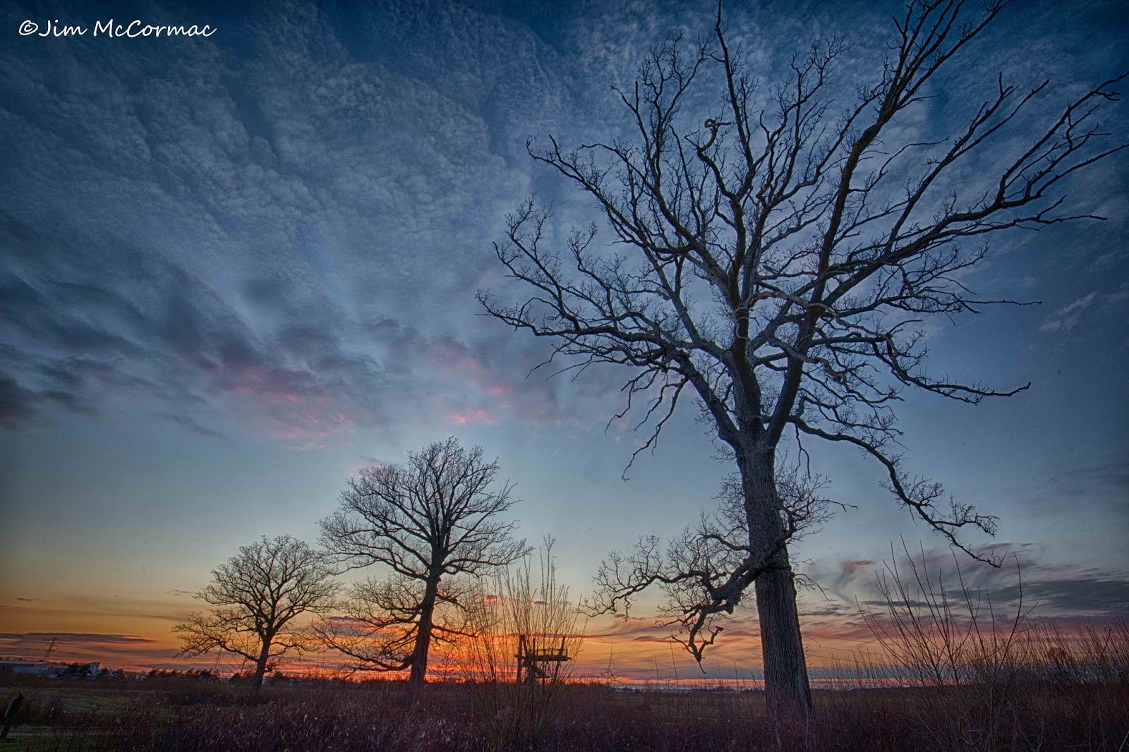 Ohio Birds and Biodiversity: Two landscapes