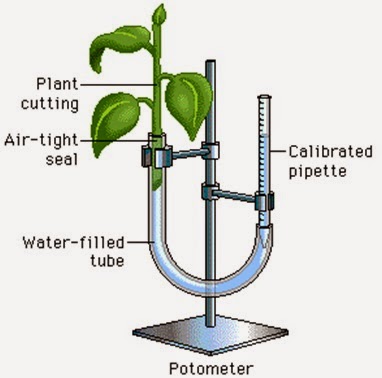 TINJAUAN PUSTAKA ONLINE :::..: PENGERTIAN DAN DEFINISI DARI TRANSPIRASI