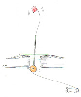 Fishing the U.P.: How To Set Up a Tip-Up