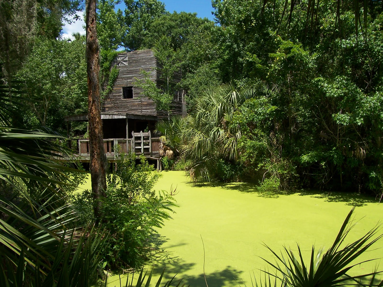 Knight Adventures: Jungle Adventures Nature Park, Christmas, Florida