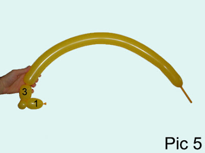 CLASSICAL: Balloon duck