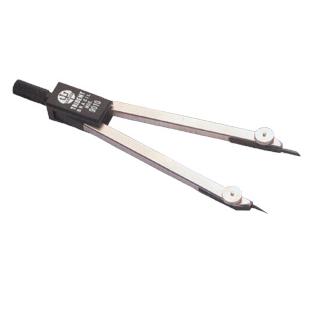 ?Hablas español?: COMPÁS