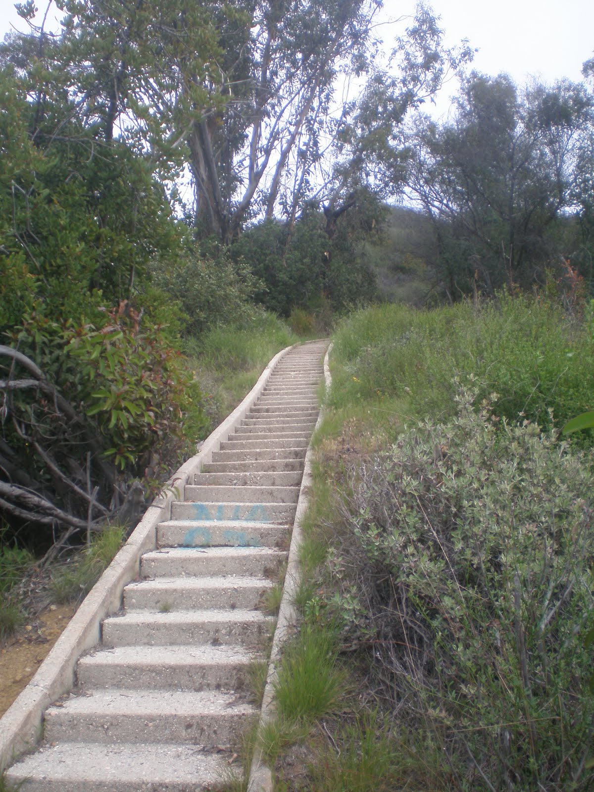 Climbing LA: Walk #42 - Pacific Palisades - Giant Steps