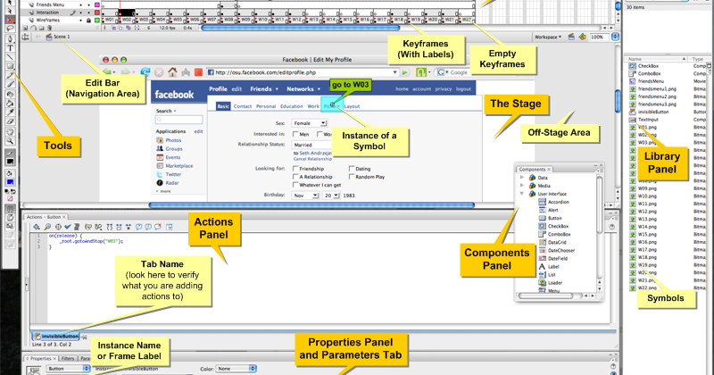 Interface Adobe flash: Adobe flash interface