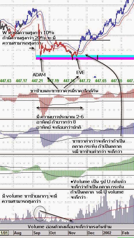 investorz.com: Double Bottoms (Adam&Eve) Patterns
