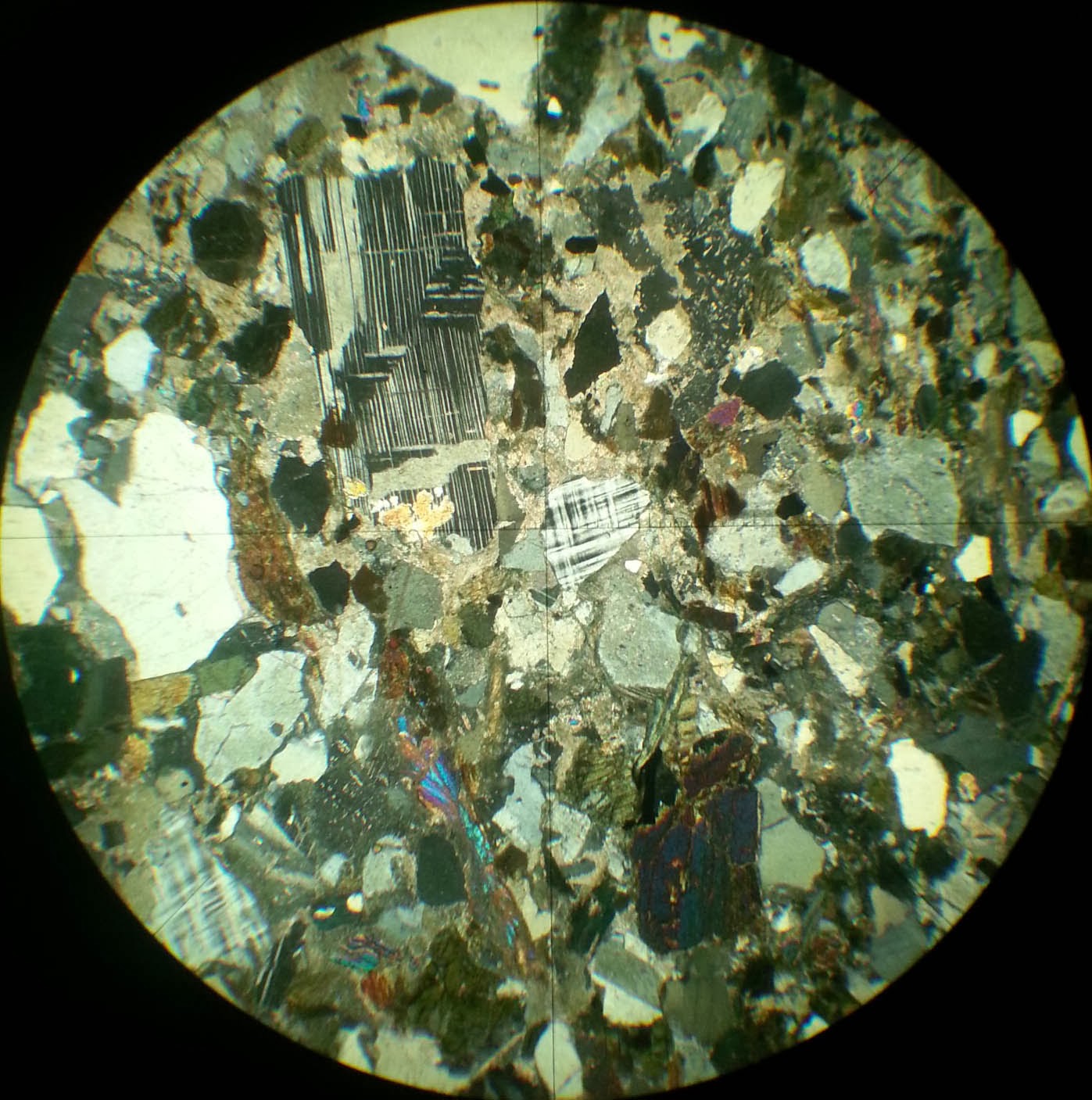 Tannis Likes Rocks: Sedimentary Petrology