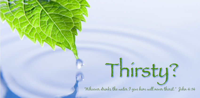 What is so amazing about Grace?: A thirst for revival