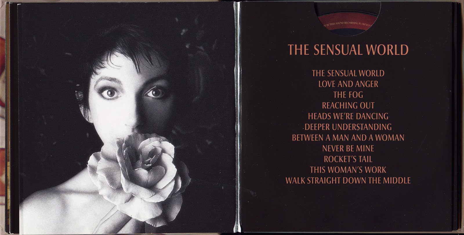 2011 Director's Cut - Kate Bush - Rockronología