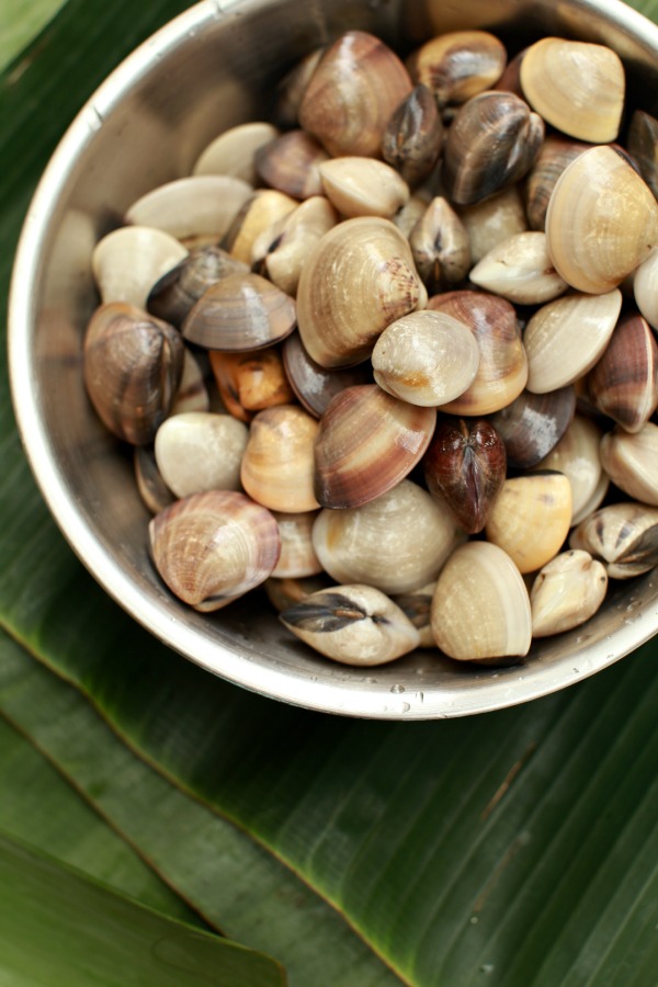 © Absolute Misdemeanor™®: Lala Masak Pedas