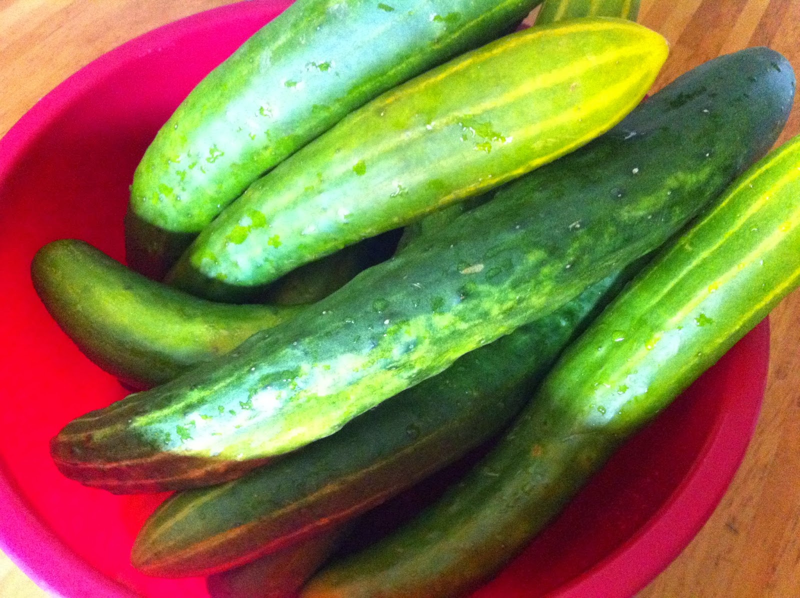 Cucina con Kristina...le delizie home made: Cetrioli sott'aceto