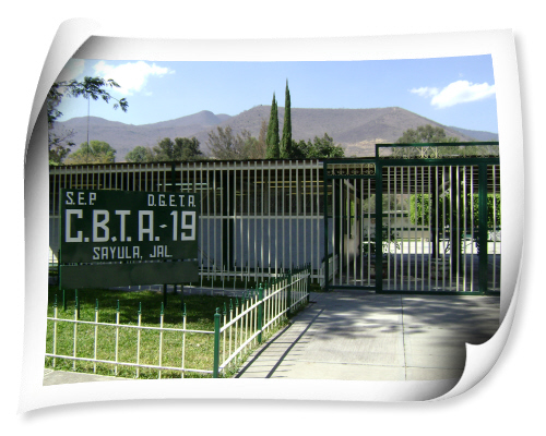 BIBLIOTECA "JUAN RULFO": BIBLIOTECA DEL CBTA 19 "JUAN RULFO"