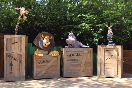 Dreamworks Madagascar Land - Dreamworld, Australia