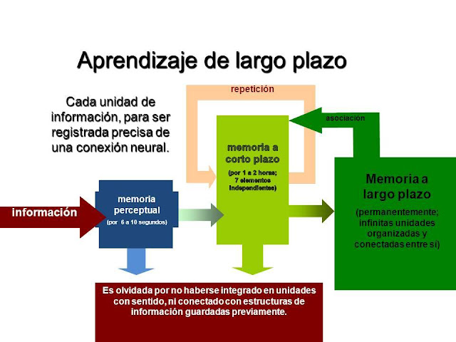 Psicología de la Educación: Las tres memorias: Memoria perceptual ...