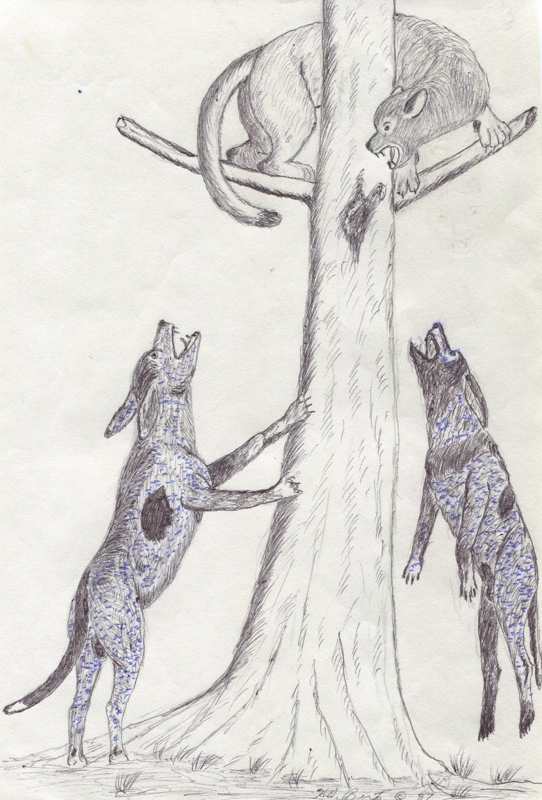 Dull Tool Dim Bulb: Harry Bentz Cowboy Artist / Western Folk Artist