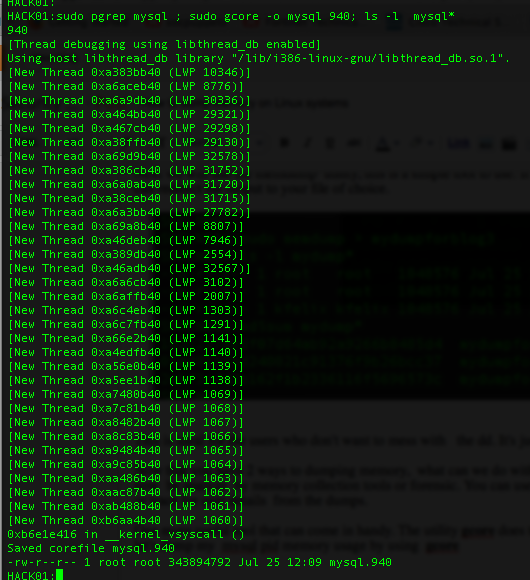 Ken Felix Security Blog How To Dump Memory On Linux Systems