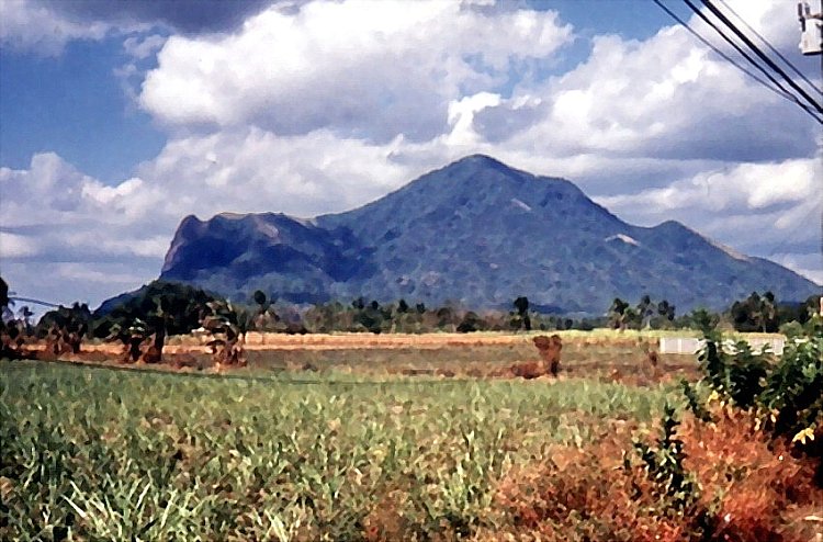 Halfway Up Mt. Makulot (Cuenca, Batangas) – B.L.A.S.T. – Live Life to ...
