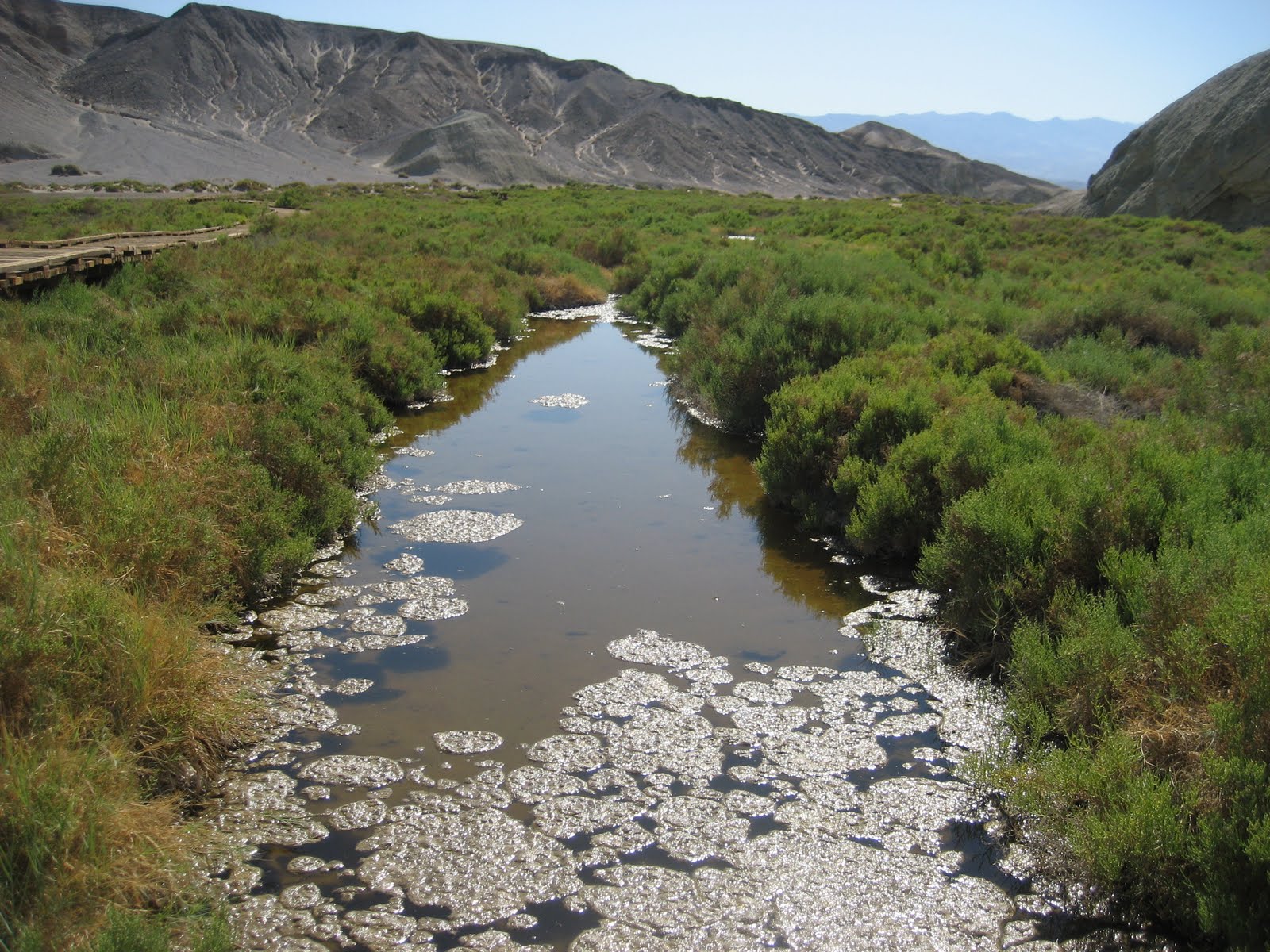 Matthew's Big Adventure Travel Blog: Cali Chap 2 - To Death Valley Nat ...
