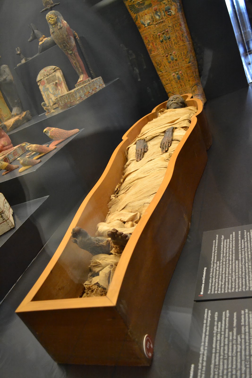 Economical Explorer: Where to Save Money in Vatican City