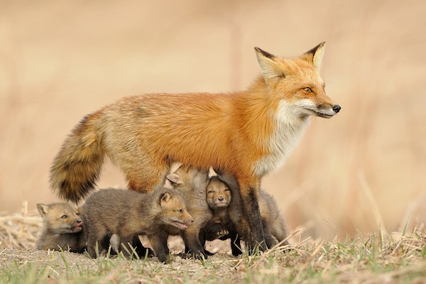 See more Share on Facebook