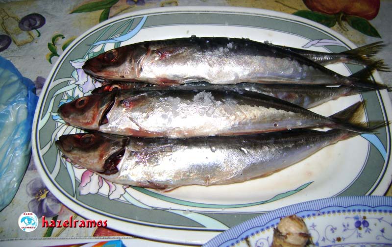 i am the cook!: Lumpiang Isda (Fish Spring Roll)