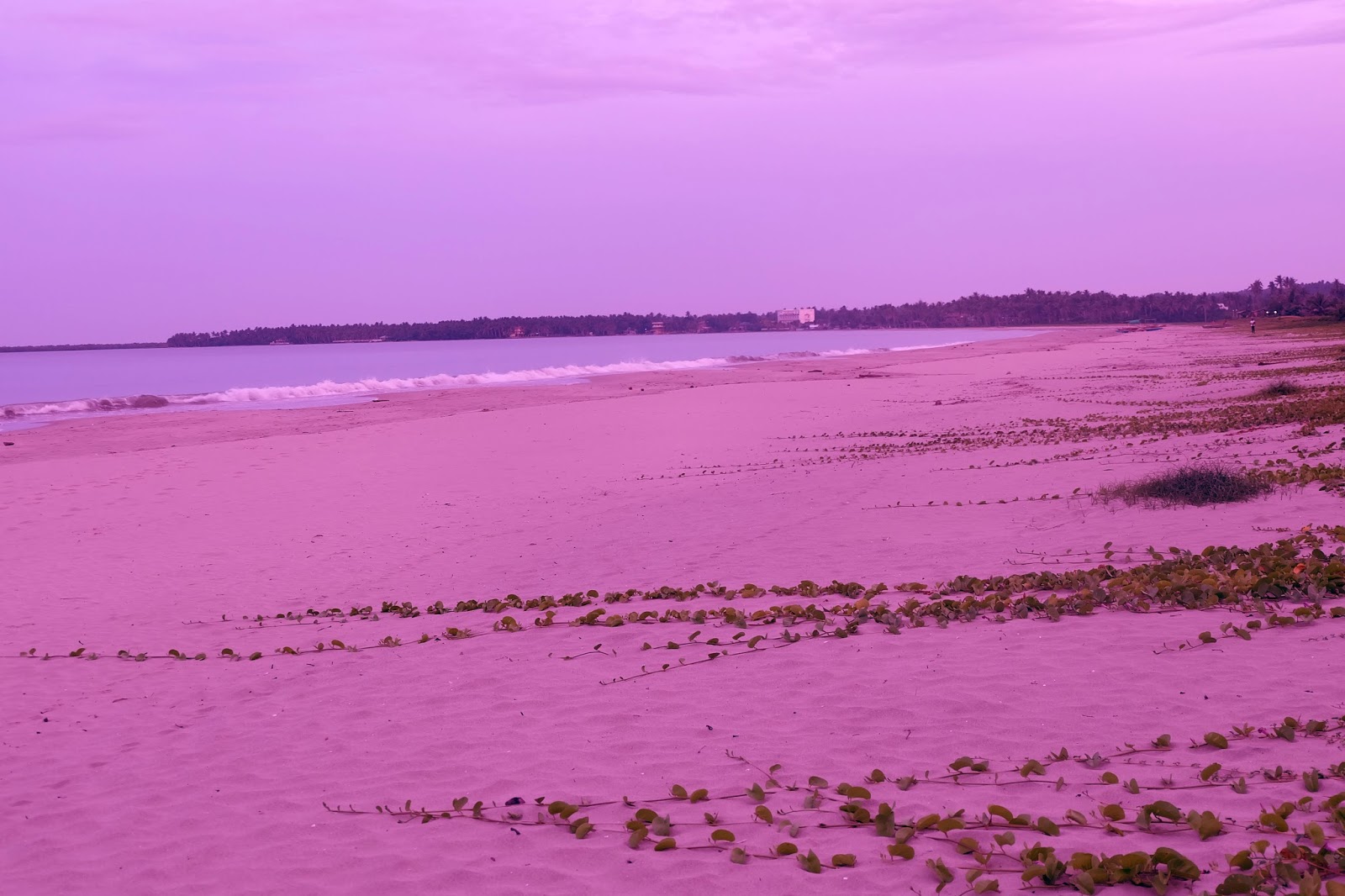 Lola Sayong Eco-Surf Camp in Gubat Sorsogon - From The Highest Peak to ...