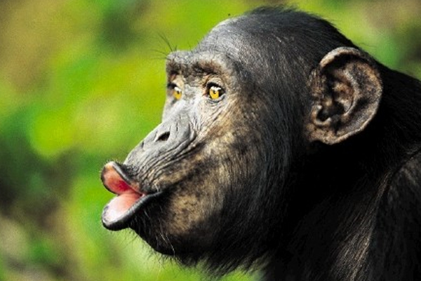 Sexual Reproductive Systems: Ewout blogt - Aalst, het lijkt net ...