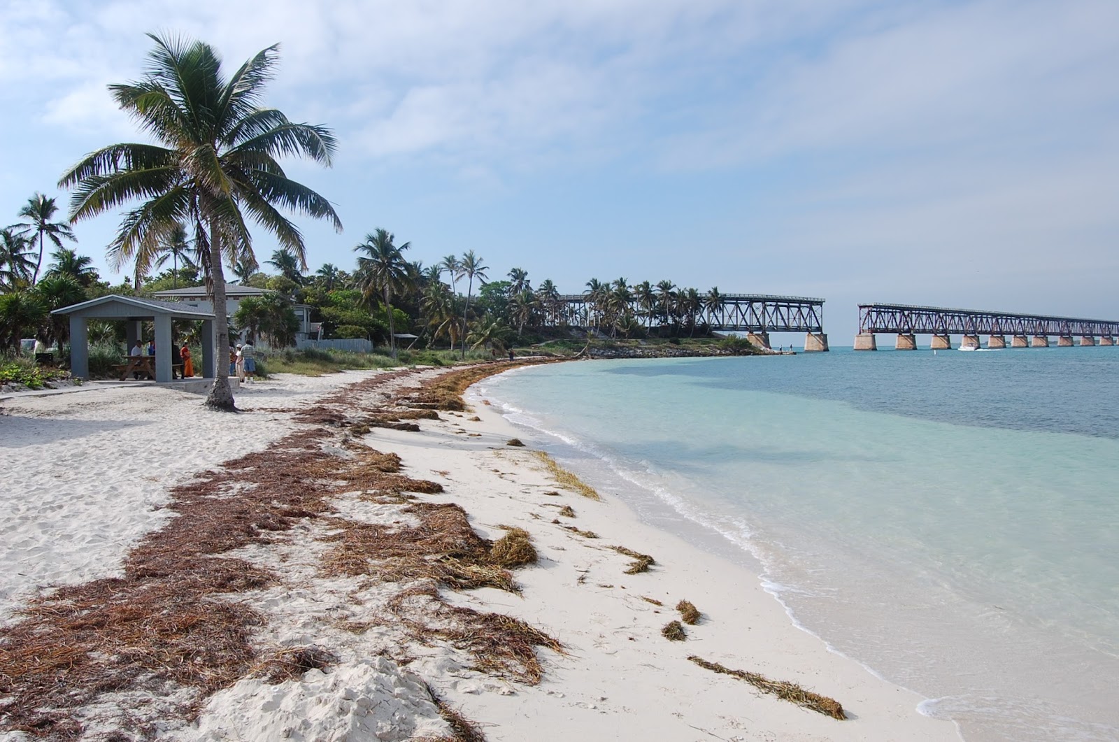 Élet Amerikában: Nyári képek 5.