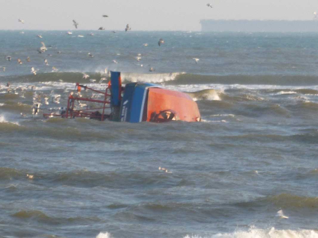 Soggibottom: Girl Rona in Teignmouth and Dartmoor -3 deg c.