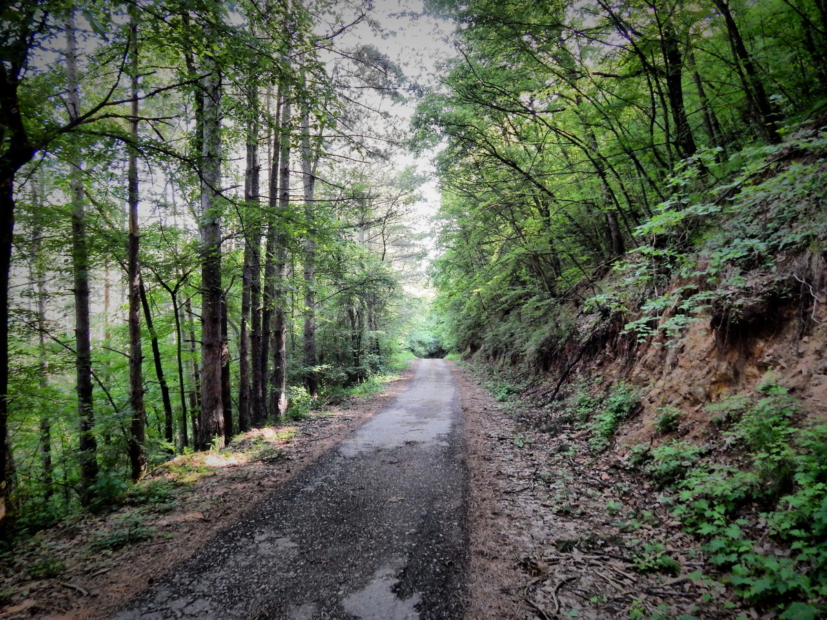 anta | Photography: Stara planina - Vetren (703 mnv)