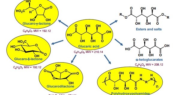 Glucaric acid biorefineries