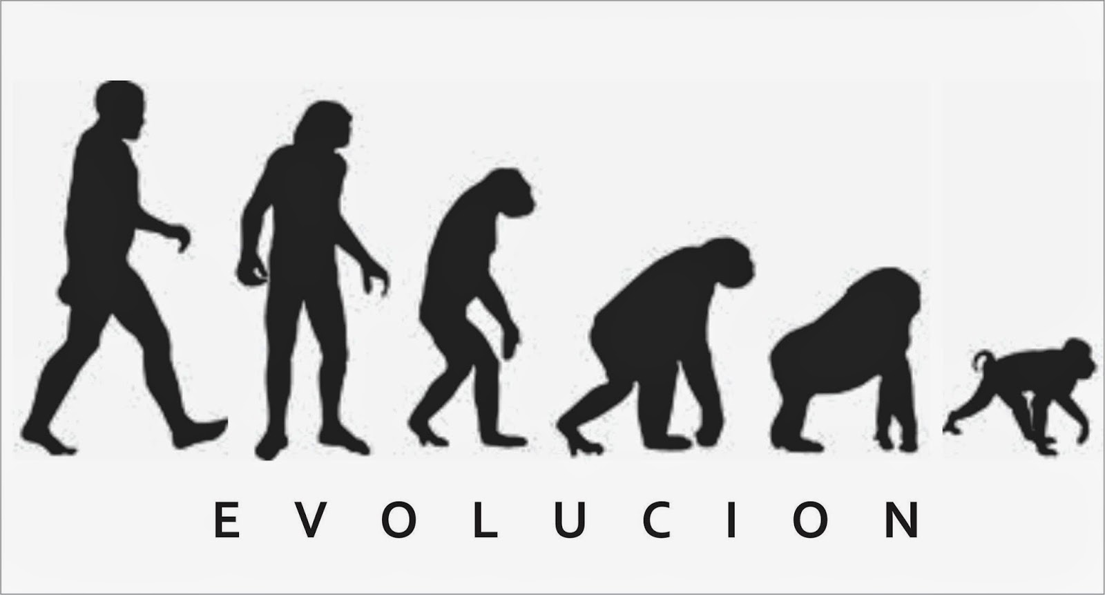 Evolución