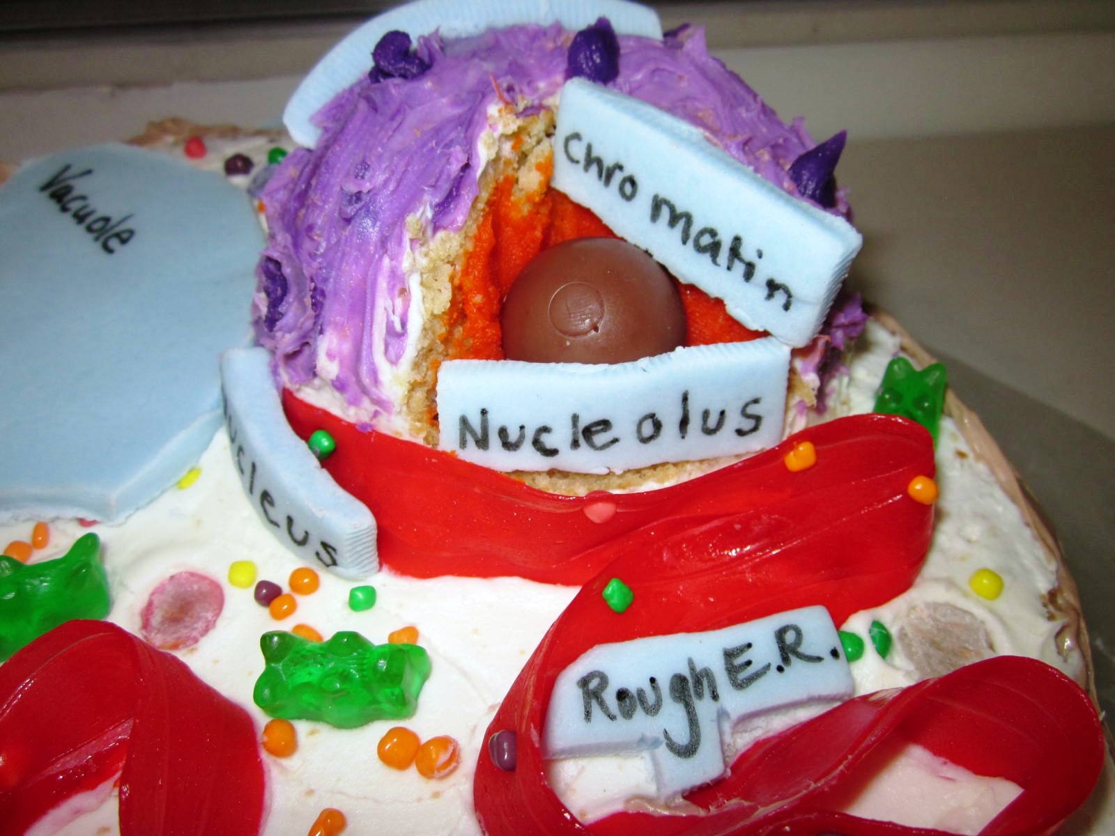 The Science and Technology Lady: Edible Science Model Projects: Part 2 ...