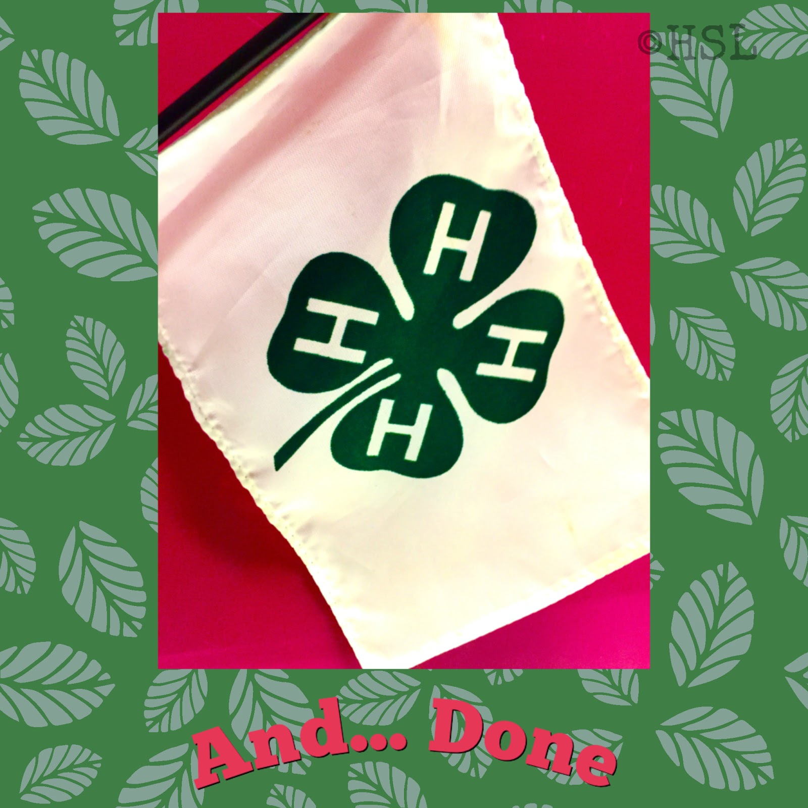 Home Sweet Life: 10 Years of 4-H ~ did I really learn anything?