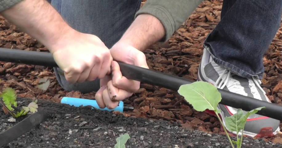 Setting up a Drip Irrigation Plan