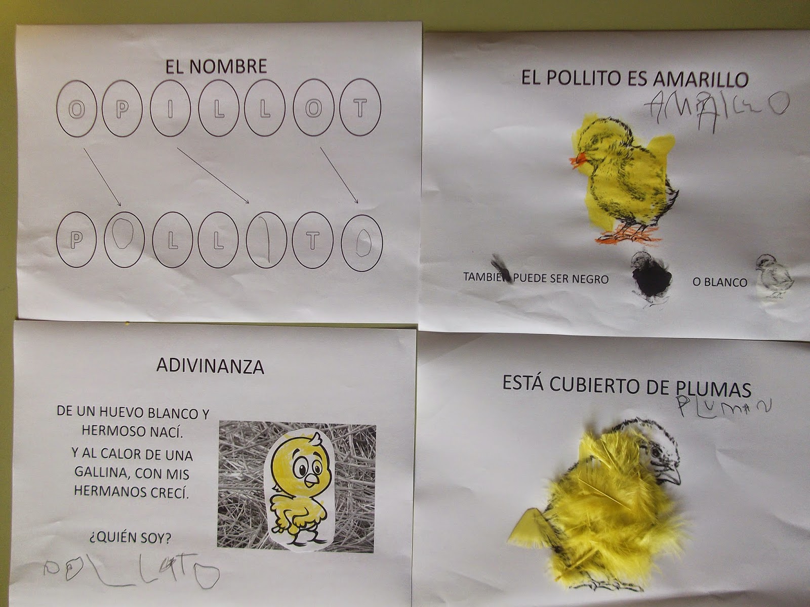 Infantil Marzán : PIO, PIO APRENDO COSAS SOBRE EL POLLITO