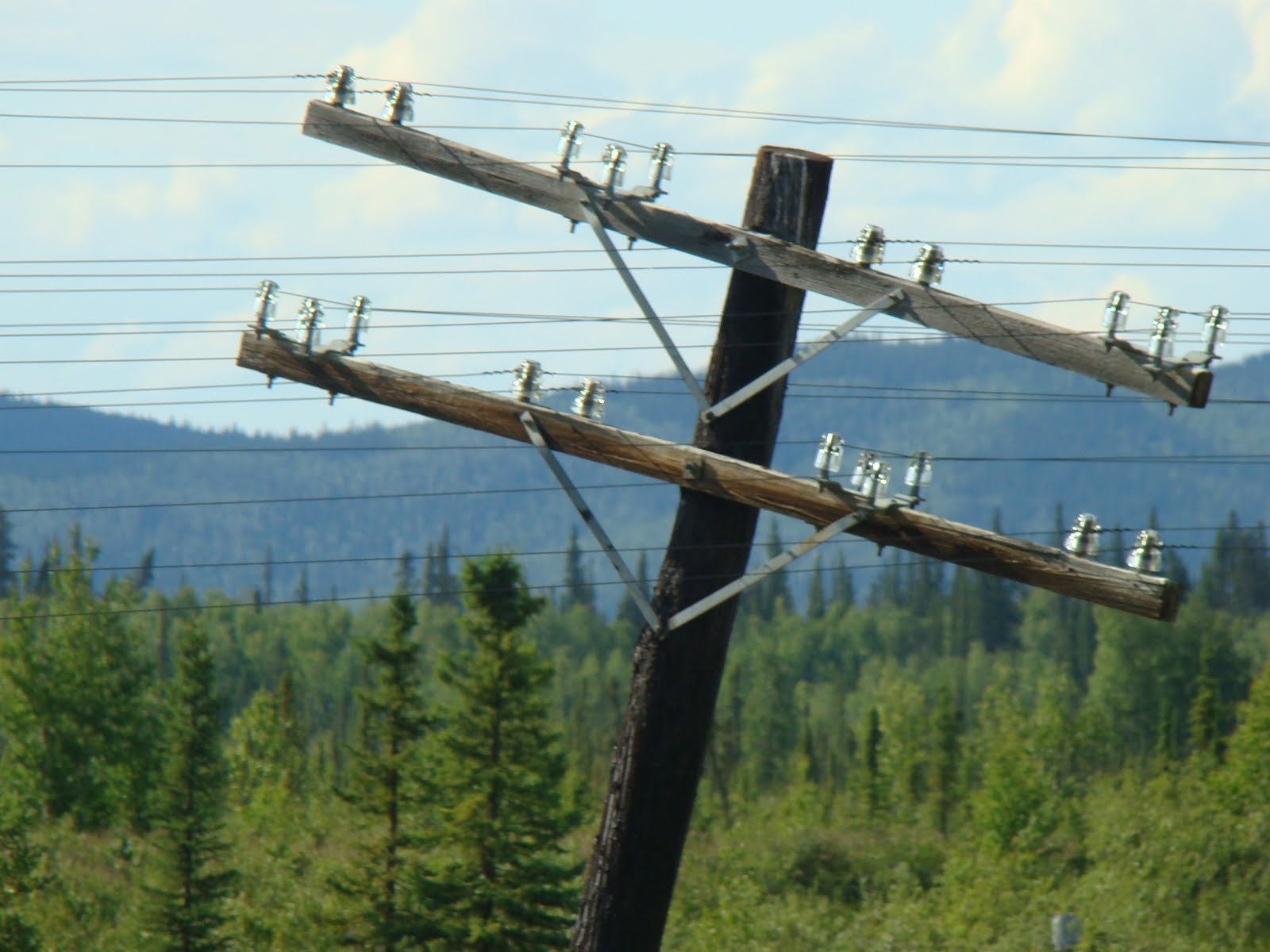 The Arctic Jeep Expedition: Sunday, July 10th - Haines Junction, Yukon ...