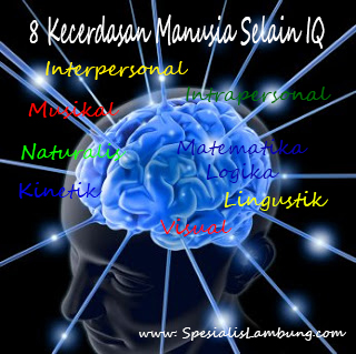 8 Kecerdasan Manusia Selain IQ | Mengobati Asam Lambung Kronis