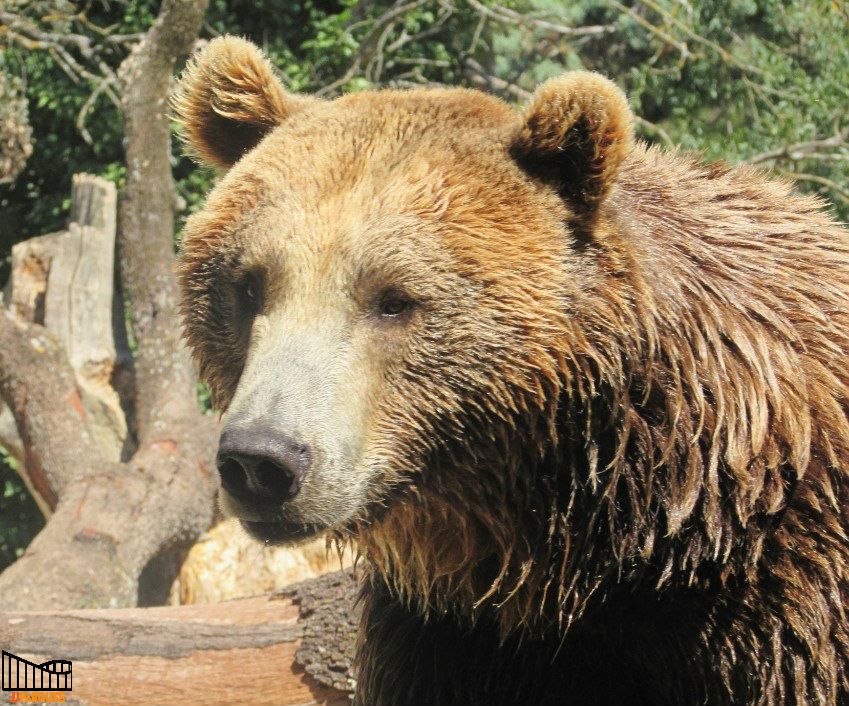 JJParques: ¡Como llegar a Faunia y Zoo de Madrid!