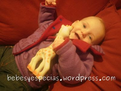 mi rincón de mariposas: noviembre 2011