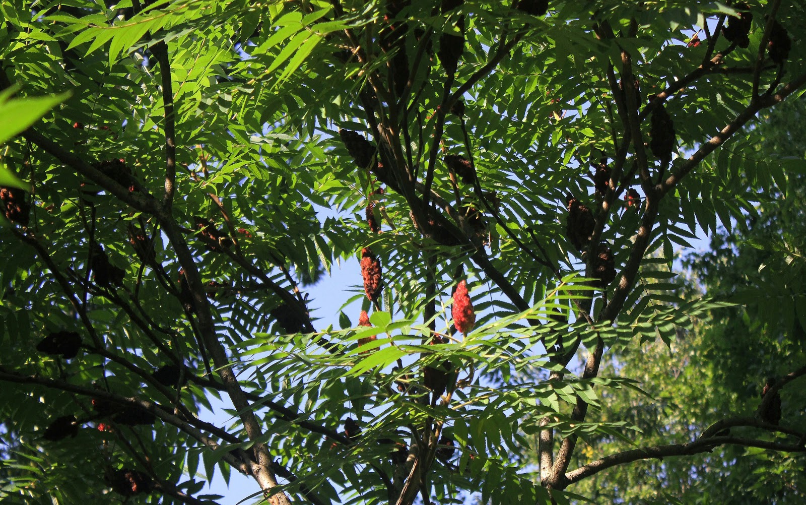 Travel & Adventures: Moscow, Russia, four seasons. The Nature of Moscow ...