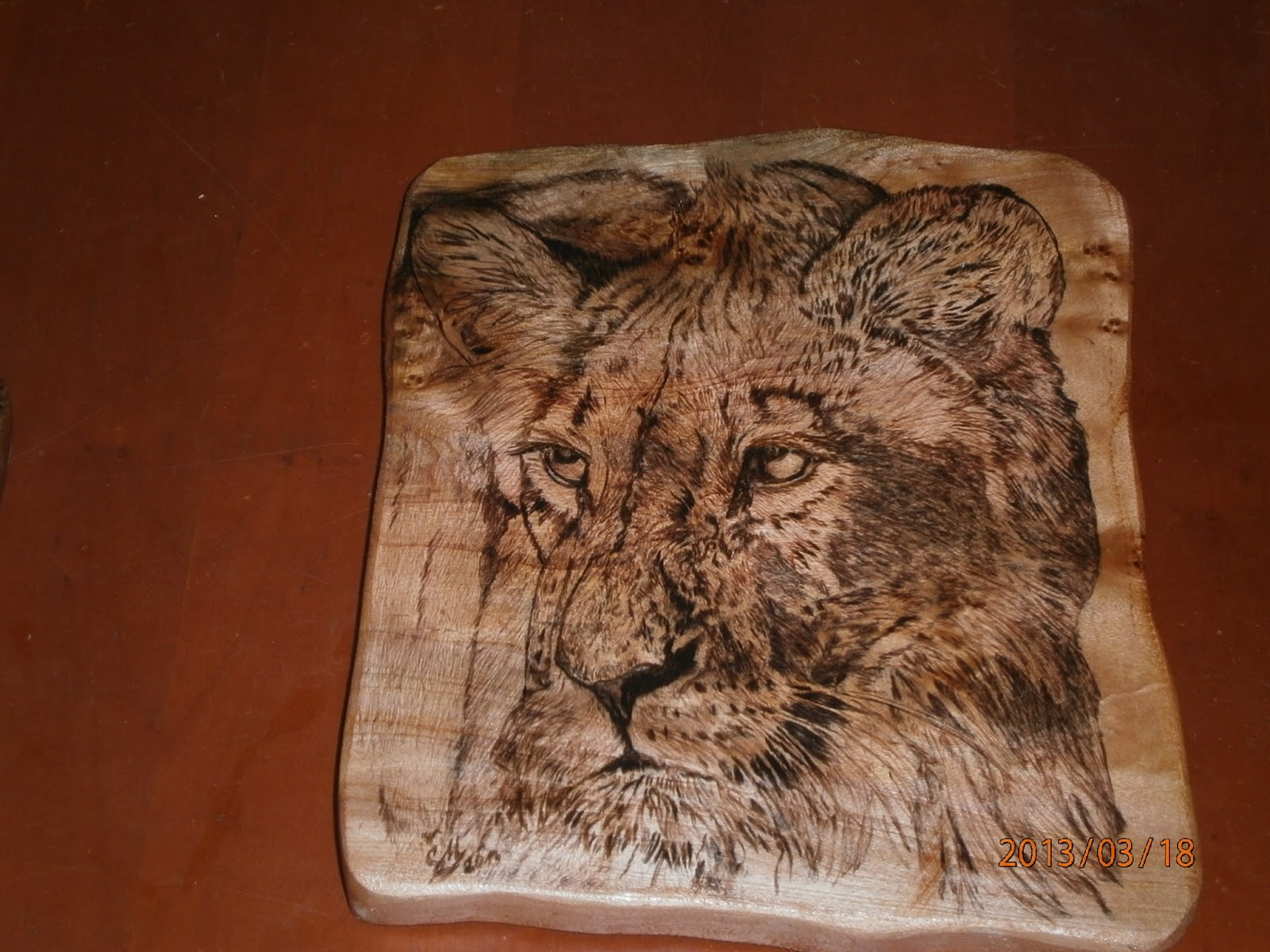 Pyrography by marko71.: Lav slika 3.