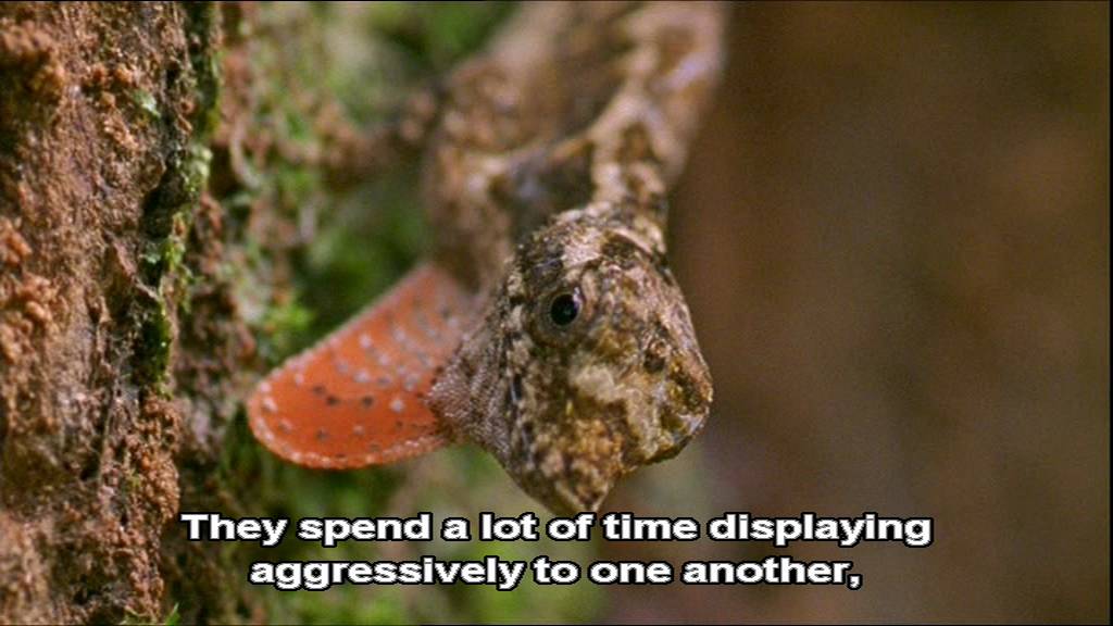 Elokuvahömppää: The Amber Time Machine