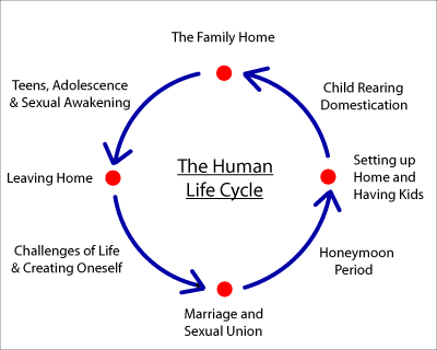 Cycle: Cycles of Life