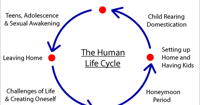 Cycle: Cycles of Life